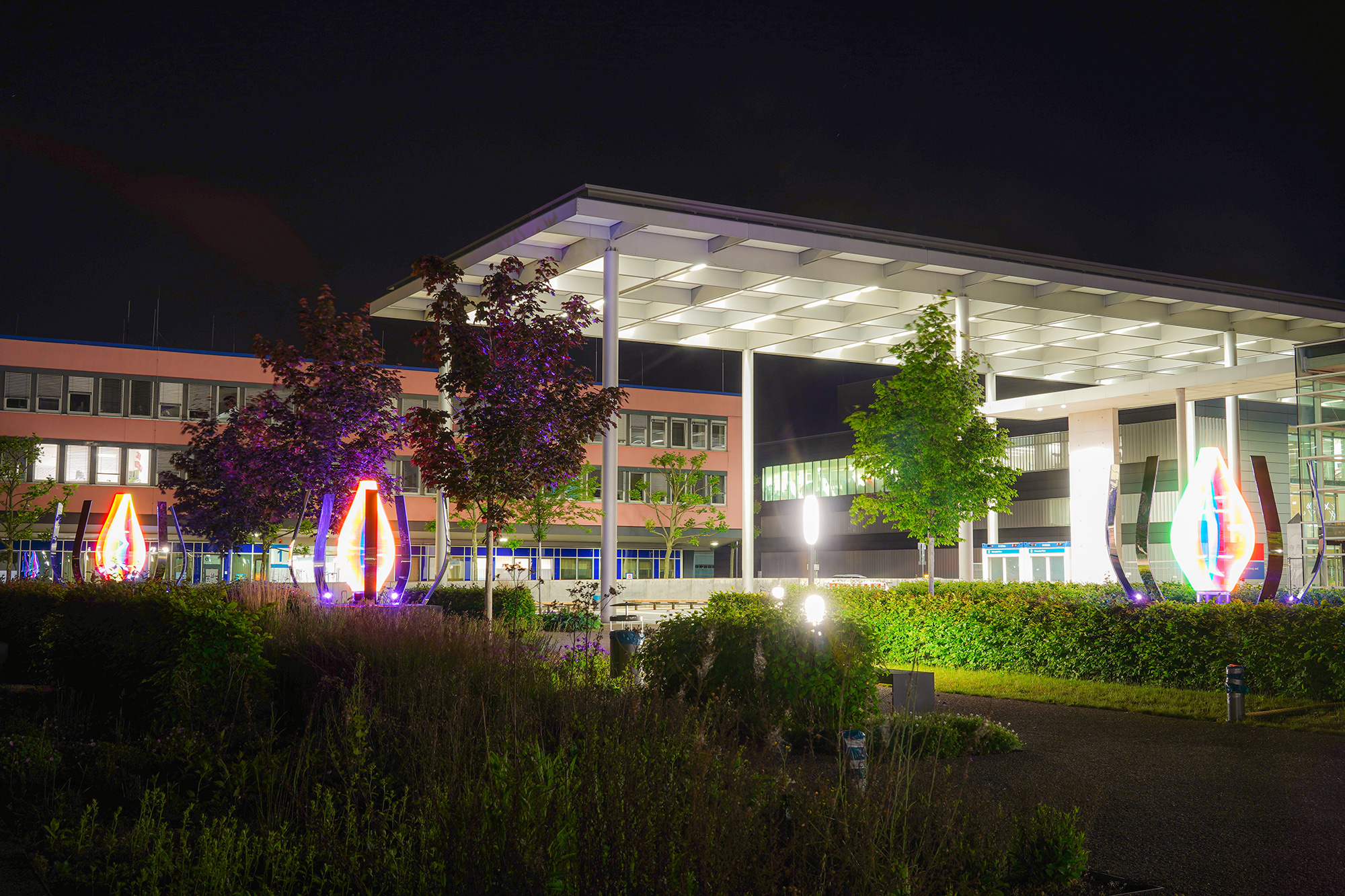 Light Anemones – STUDIO KEBBEL